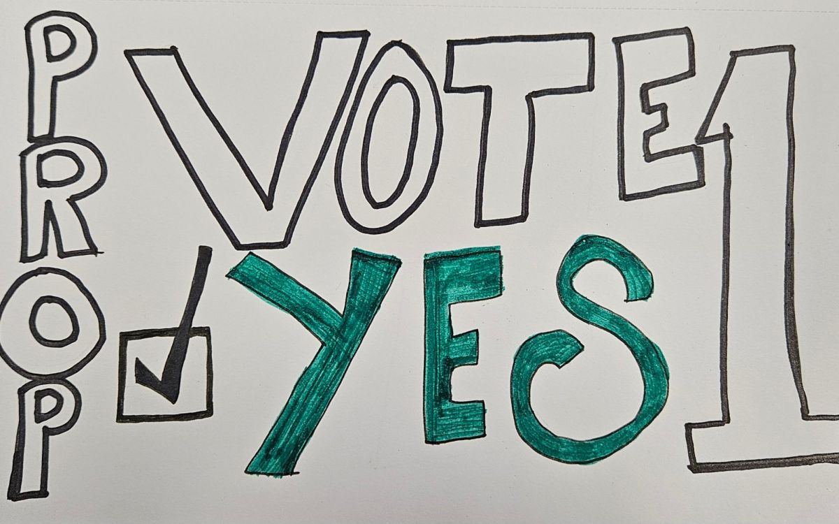 Election Connection – NYS Prop 1 – Griffins and Ginger Snaps